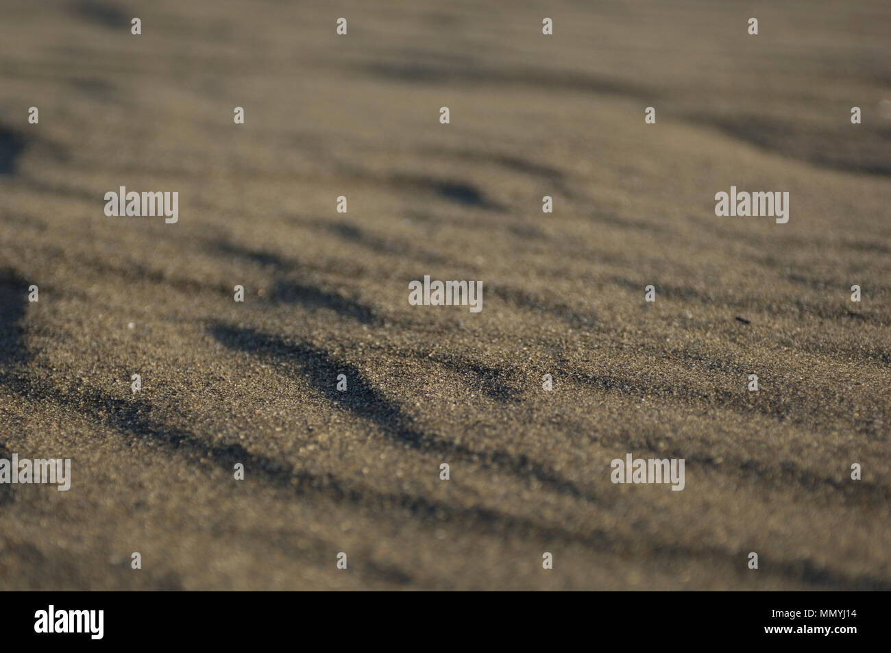 Grain of sand hi-res stock photography and images - Alamy