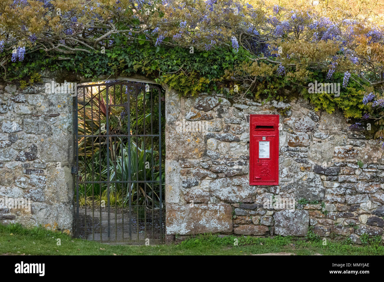 An old style red postal box mounted in a stone wall at mottistone on ...