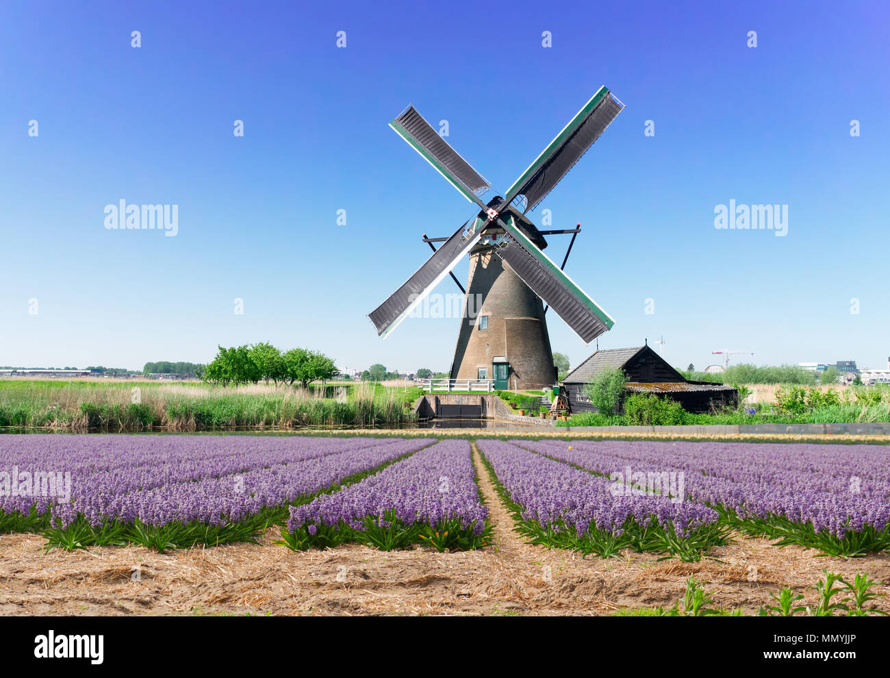 Dutch wind mills Stock Photo - Alamy