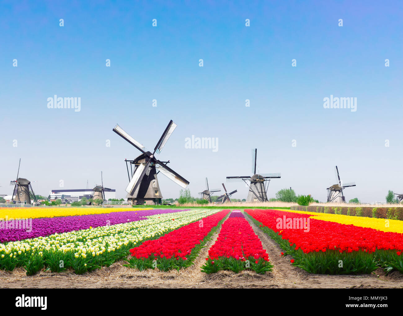 Dutch wind mills Stock Photo - Alamy