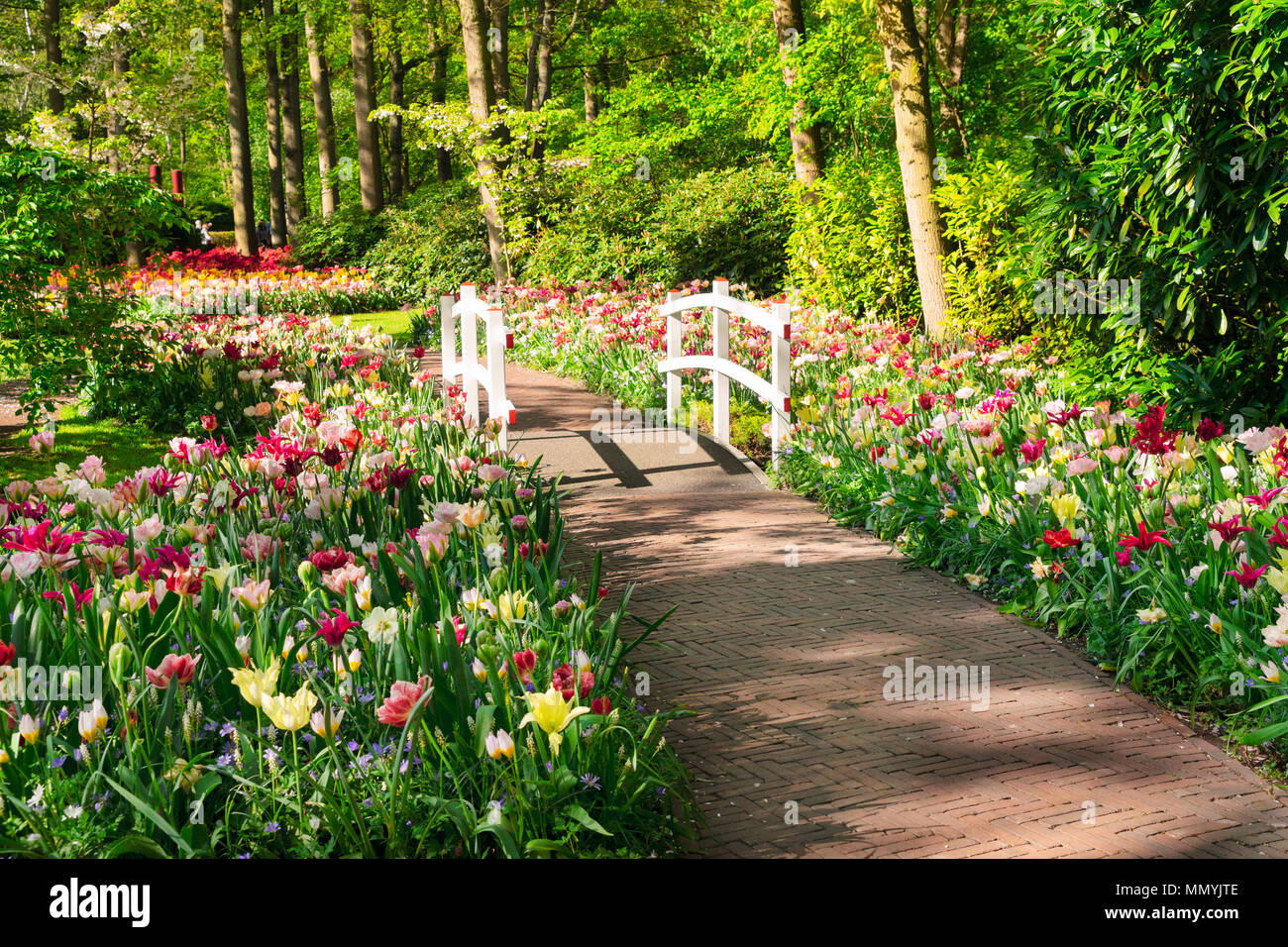 Country garden walk way hi-res stock photography and images - Alamy