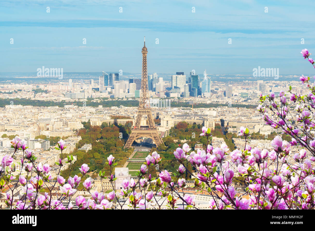 Eiffel Tower and Paris cityscape Stock Photo - Alamy