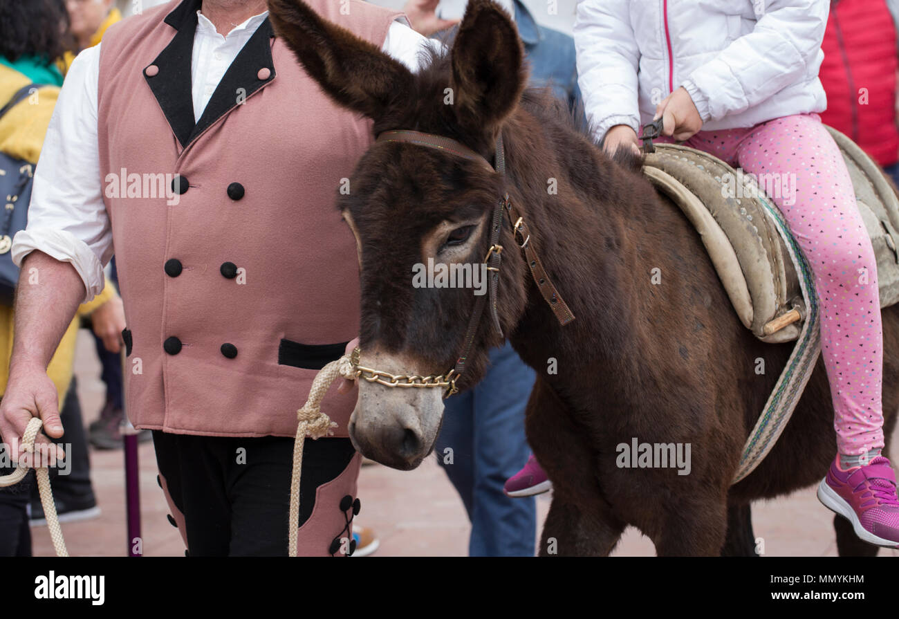 Traditional donkey rides hi-res stock photography and images - Alamy