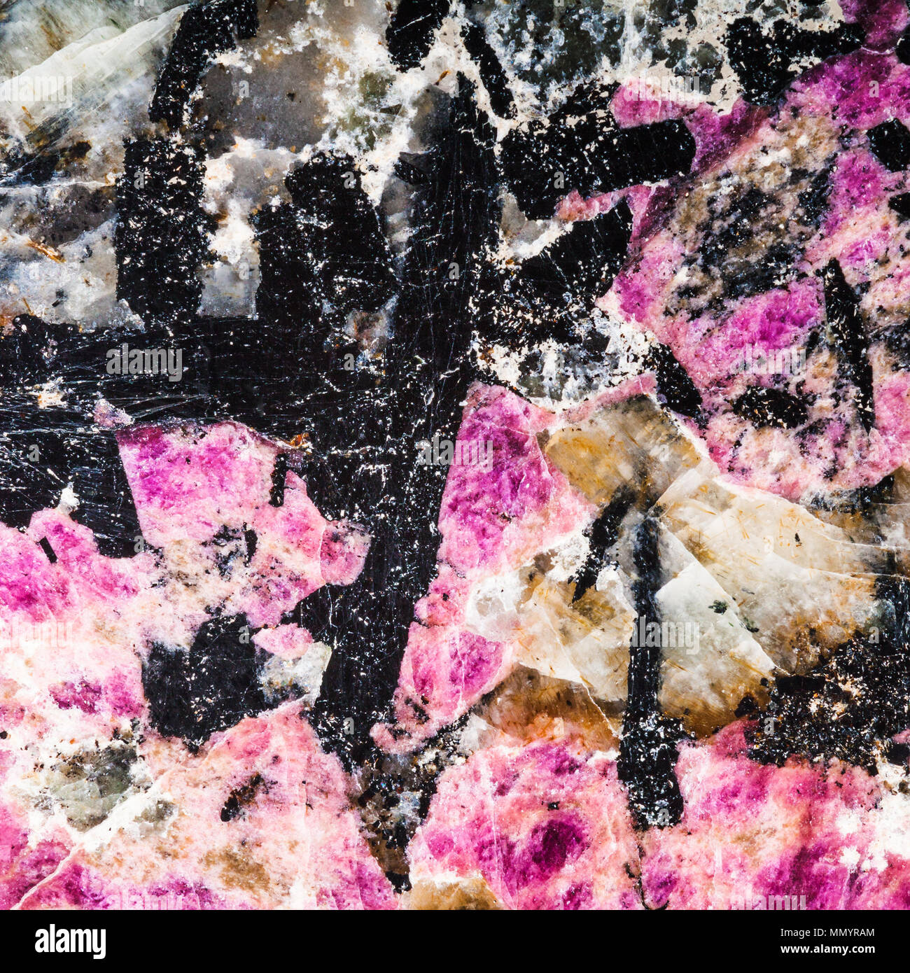 square background from natural pink eudialyte mineral with black ...