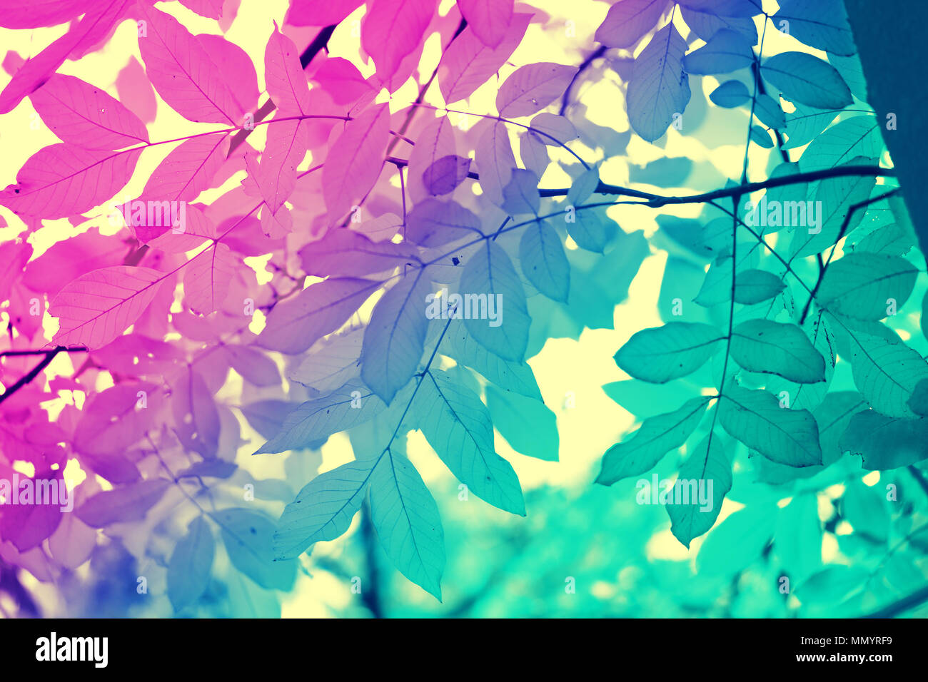 Blue purple gradient hi-res stock photography and images - Alamy