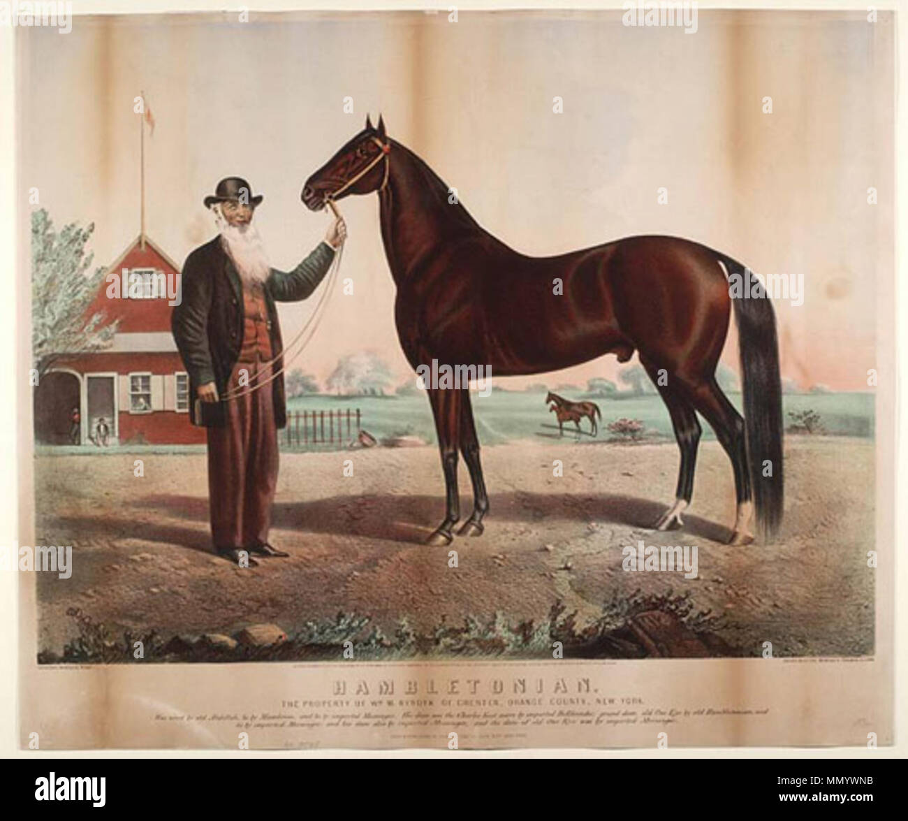 Hambletonian 10 hi-res stock photography and images - Alamy