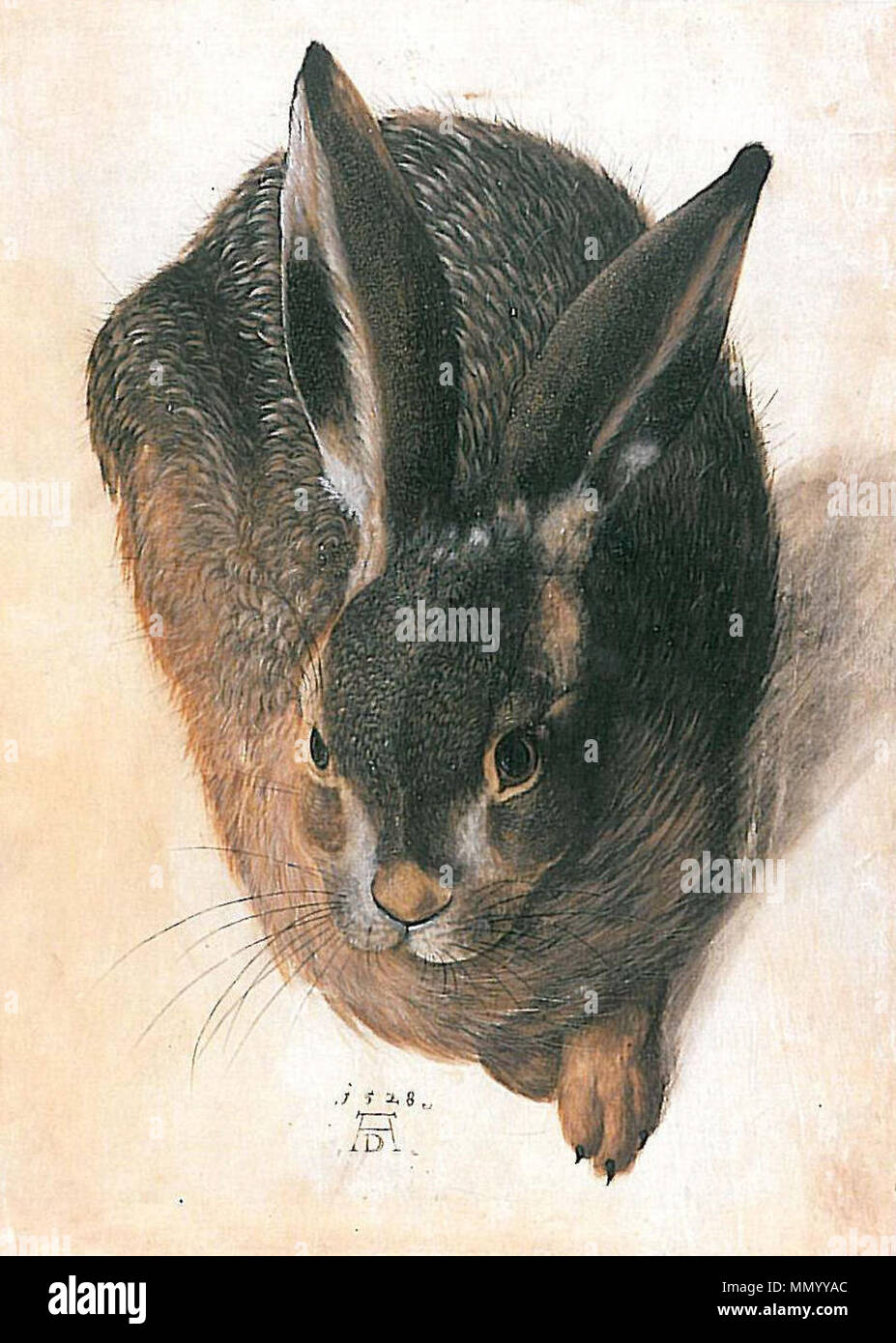 Deutsch: Hase English: Hare . 1528. Hase (Hans Hofmann Stock Photo - Alamy