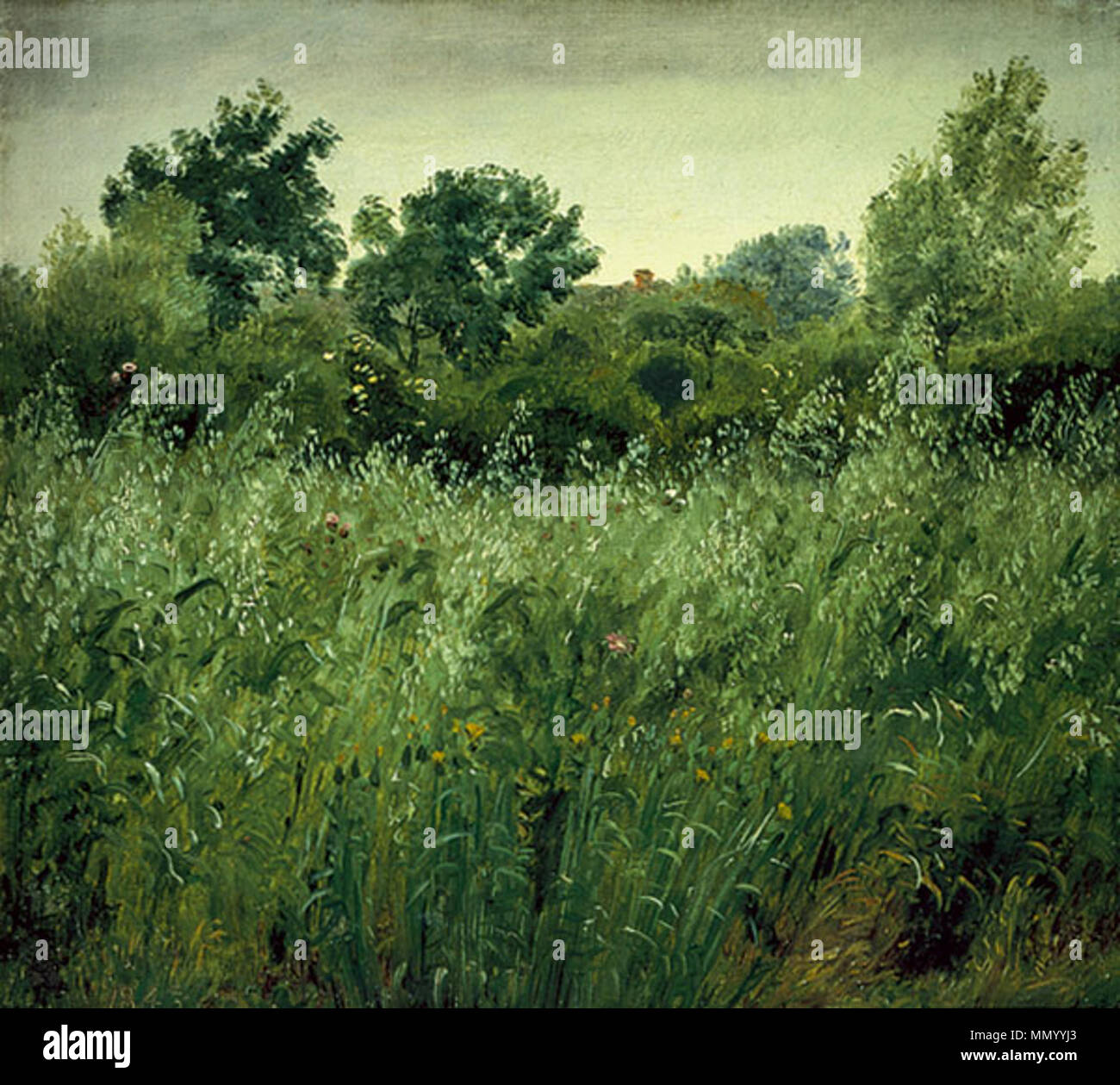 Havremark hi-res stock photography and images - Alamy