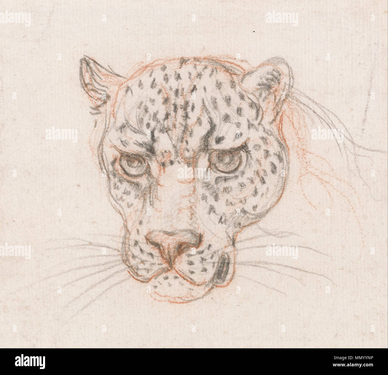 Head of a Leopard. undated. Head of a Leopard - Google Art Project ...