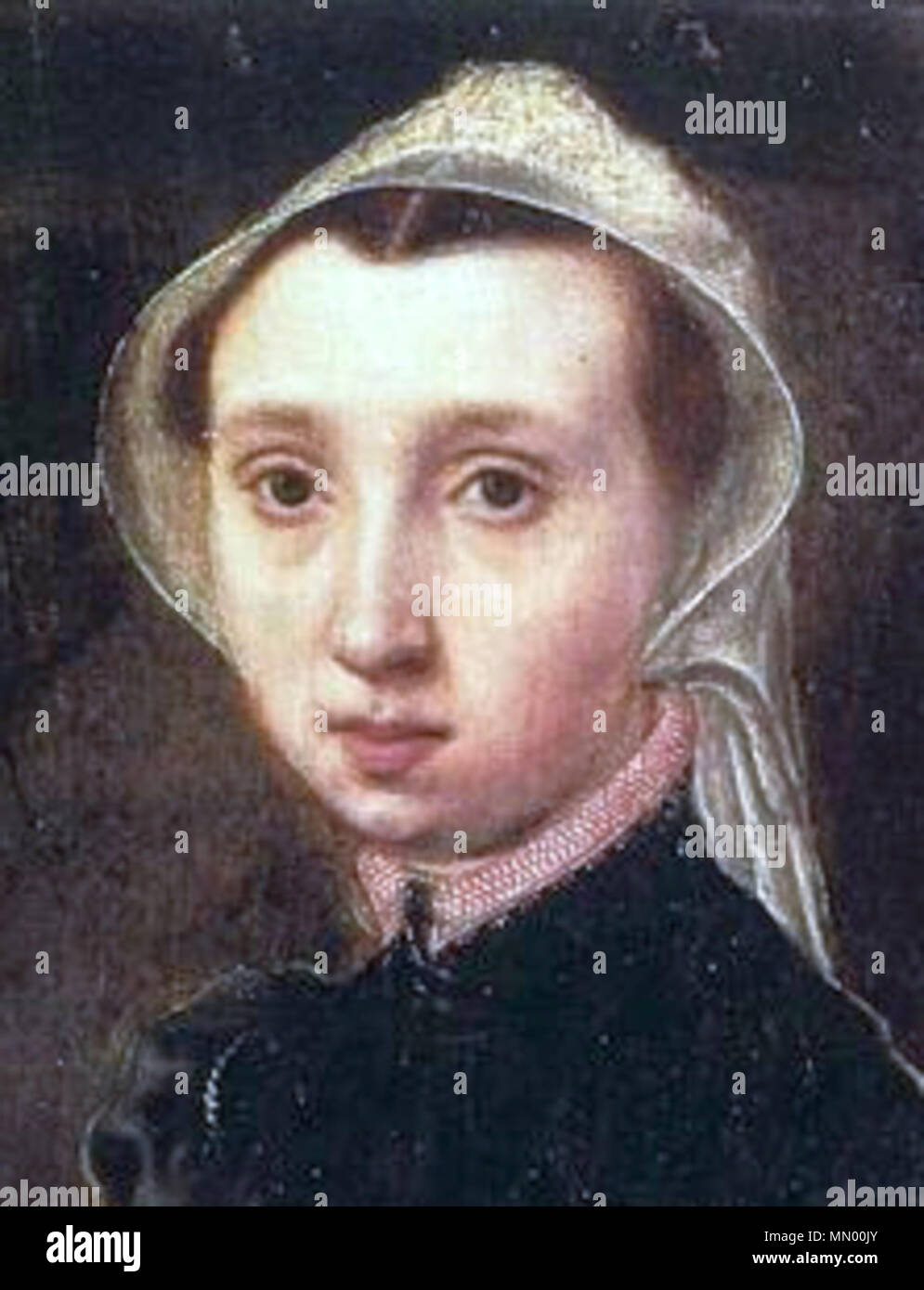 Self-portrait (detail). 1548. Hemessen-Selbstbildnis - 1548 - cropped ...