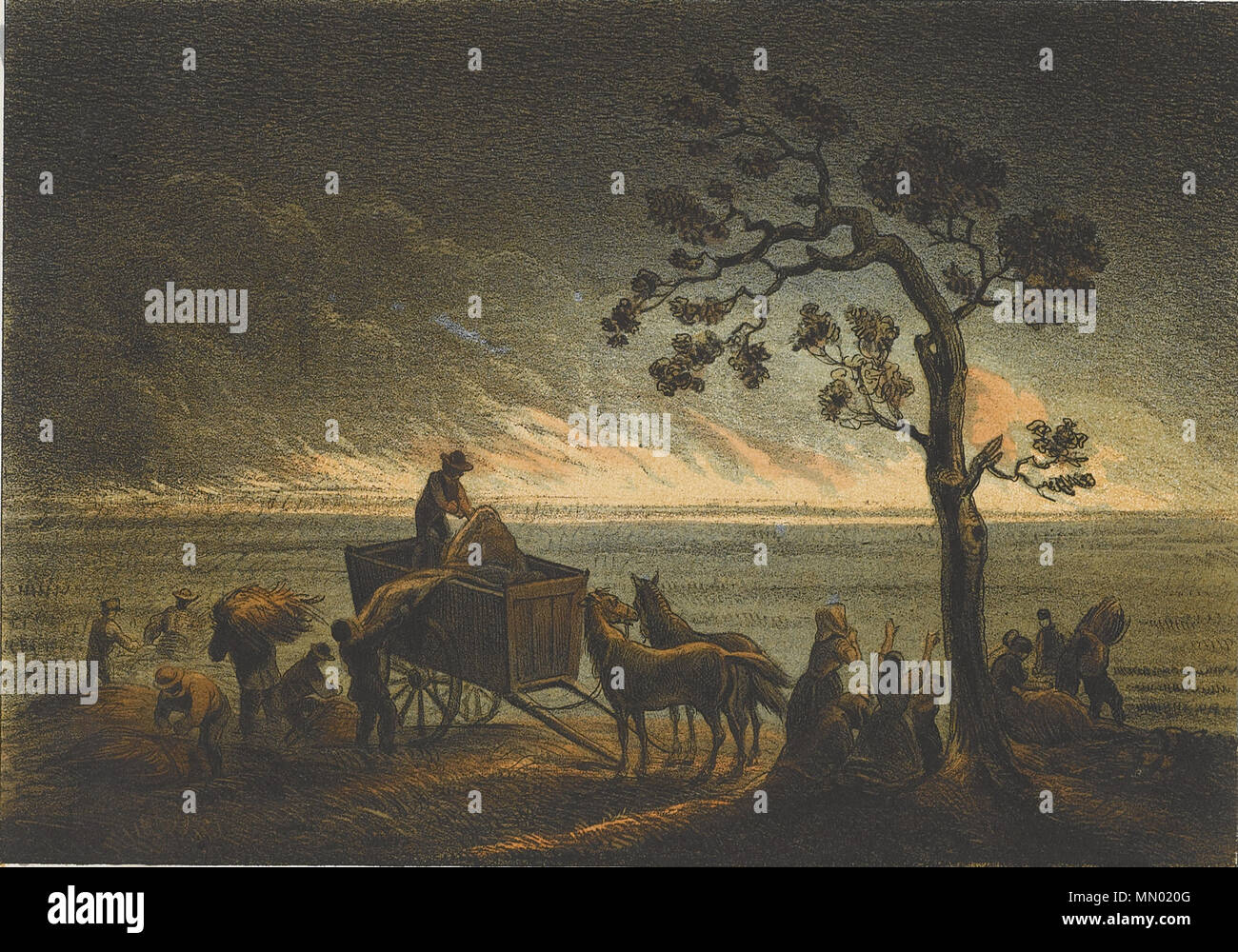 Henry muller hi-res stock photography and images - Alamy