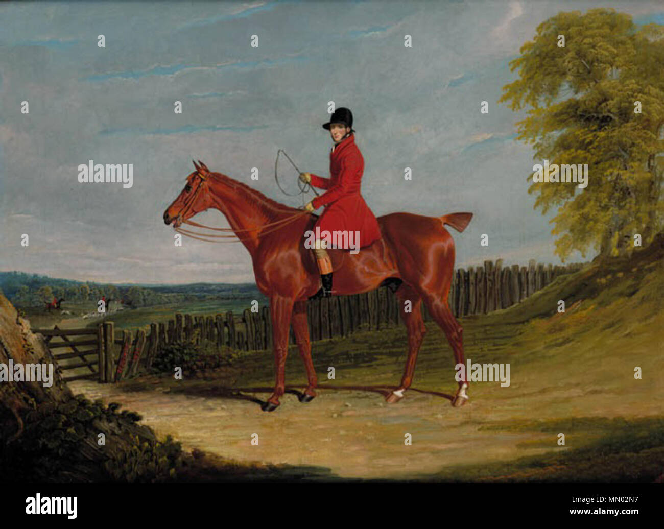 English hunting horse hi-res stock photography and images - Alamy