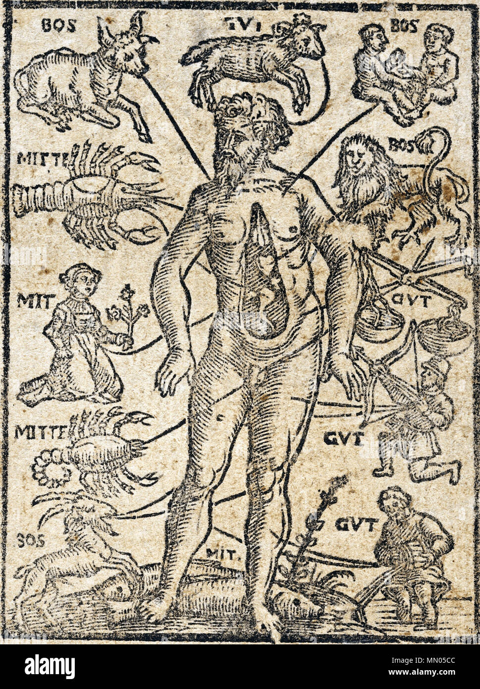 Zodiac man woodcut hi-res stock photography and images - Alamy