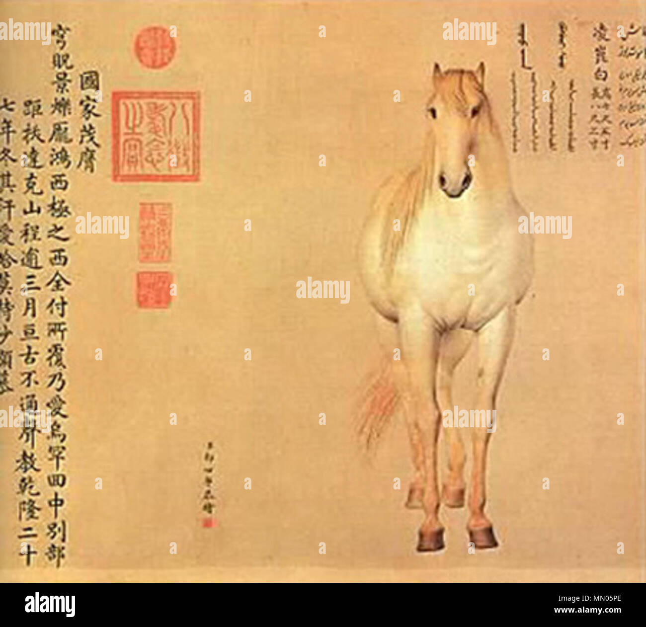 Death white horse hi-res stock photography and images - Alamy