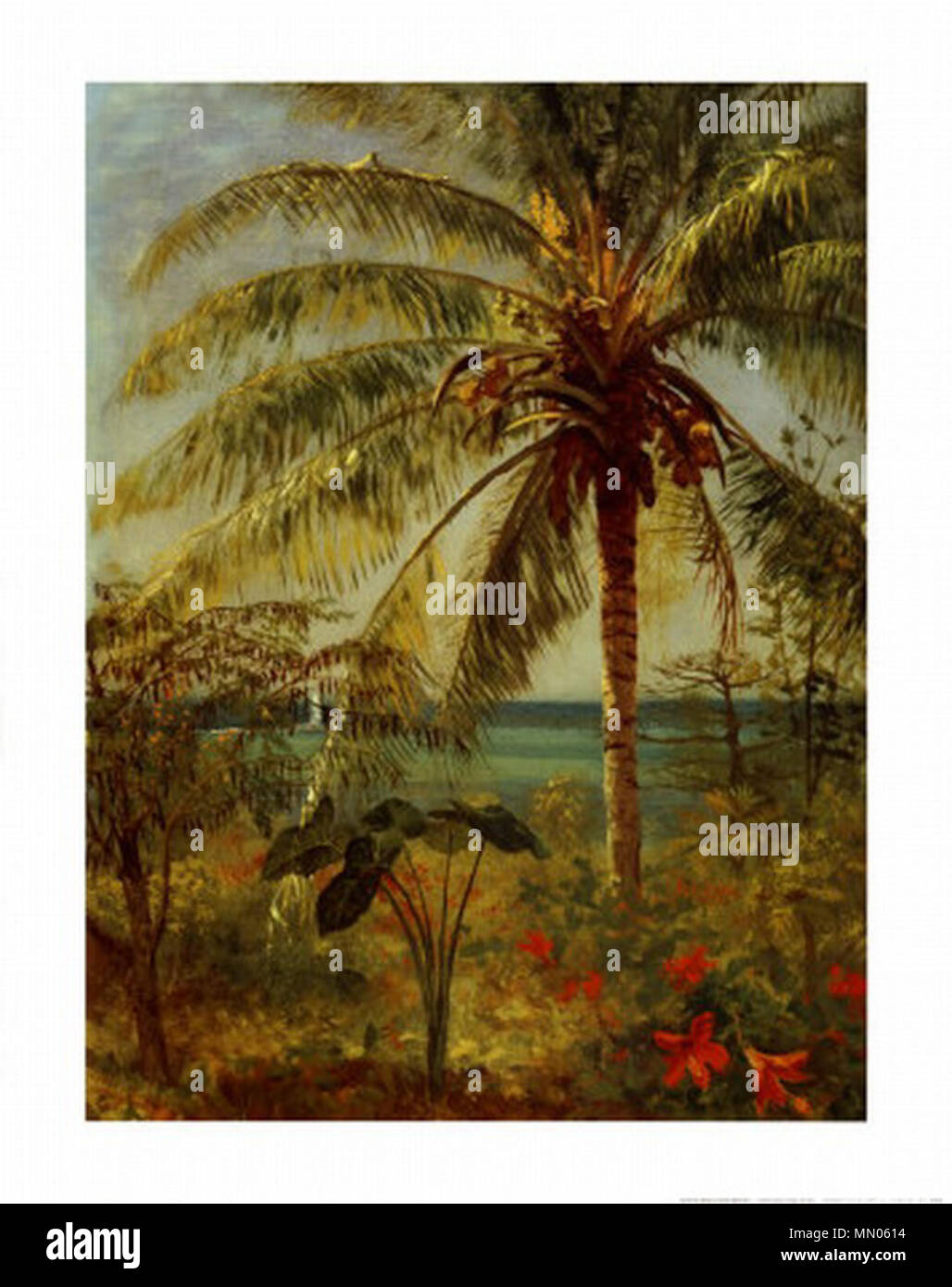 English: Palm Tree, Nassau . after 1877. HRSOA AlbertBierstadt Palm ...