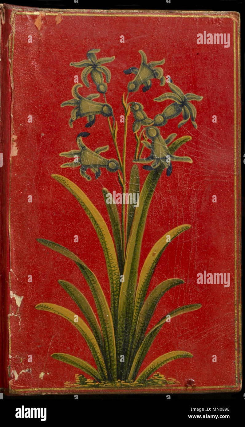 Indian quran hi-res stock photography and images - Alamy