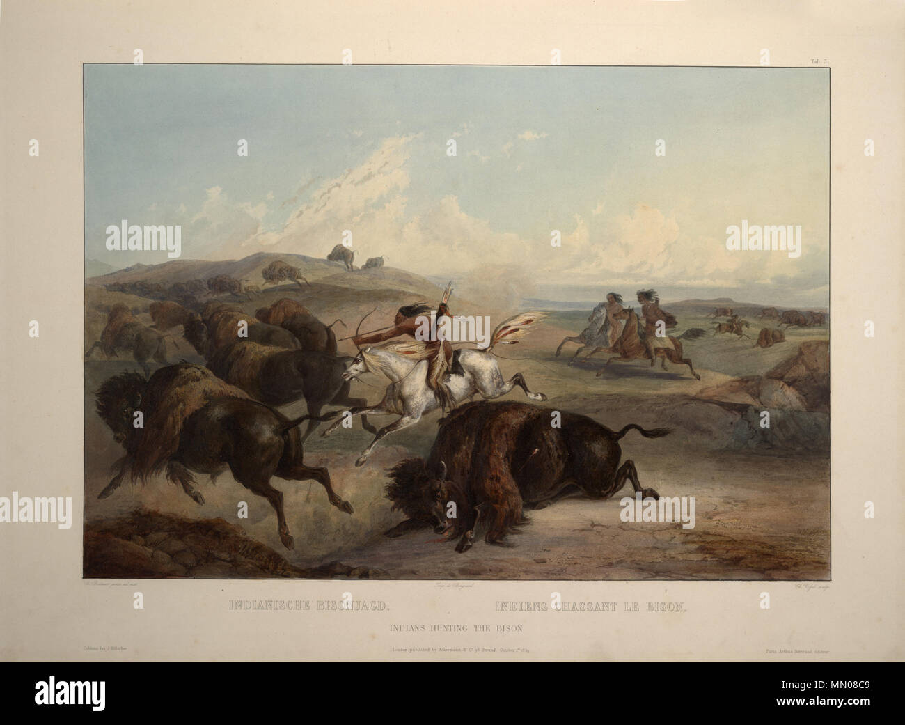 Native Americans Hunting Bear