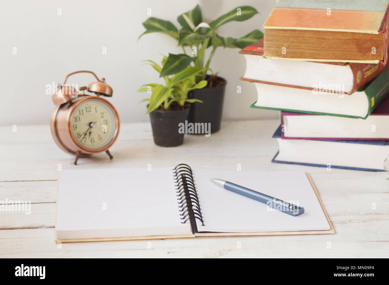 book and pen on table with plant, copy space Stock Photo - Alamy