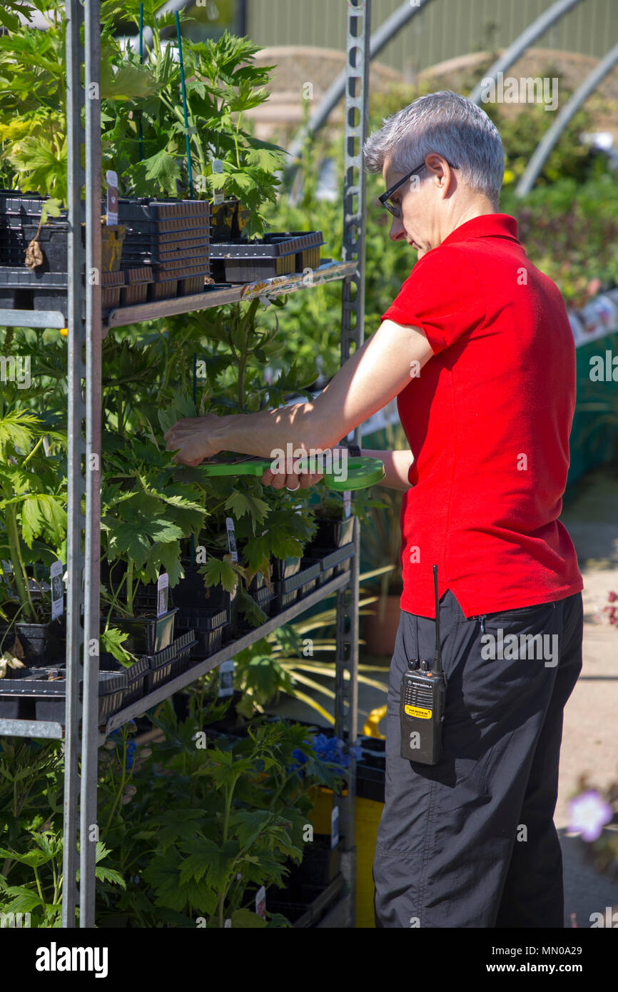 Securing plants hi-res stock photography and images - Alamy