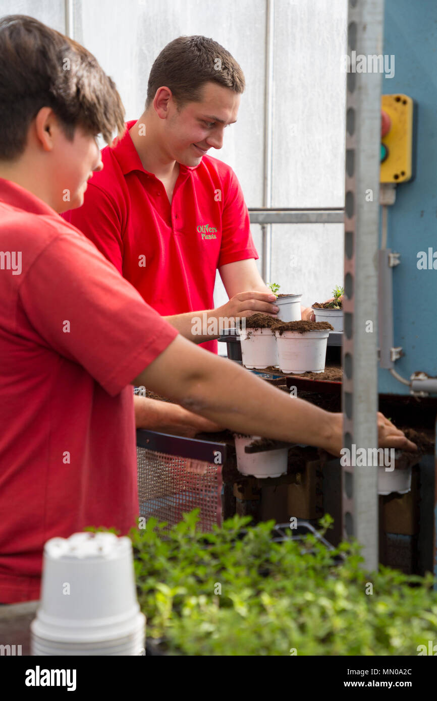 Potting machine hi-res stock photography and images - Alamy