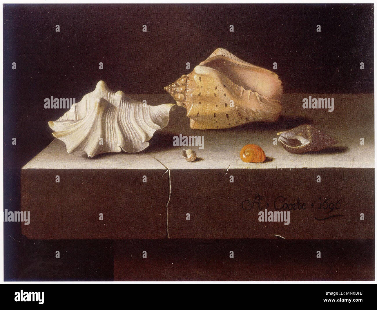 Two Large and Three Small Shells on a Slab of Stone. 1696. Adriaen ...