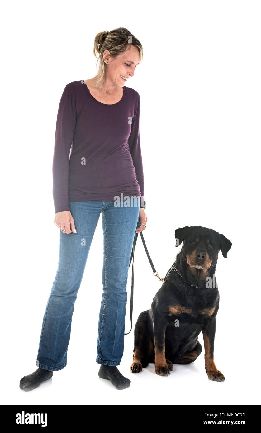 adult rottweiler and woman in front of white background Stock Photo - Alamy