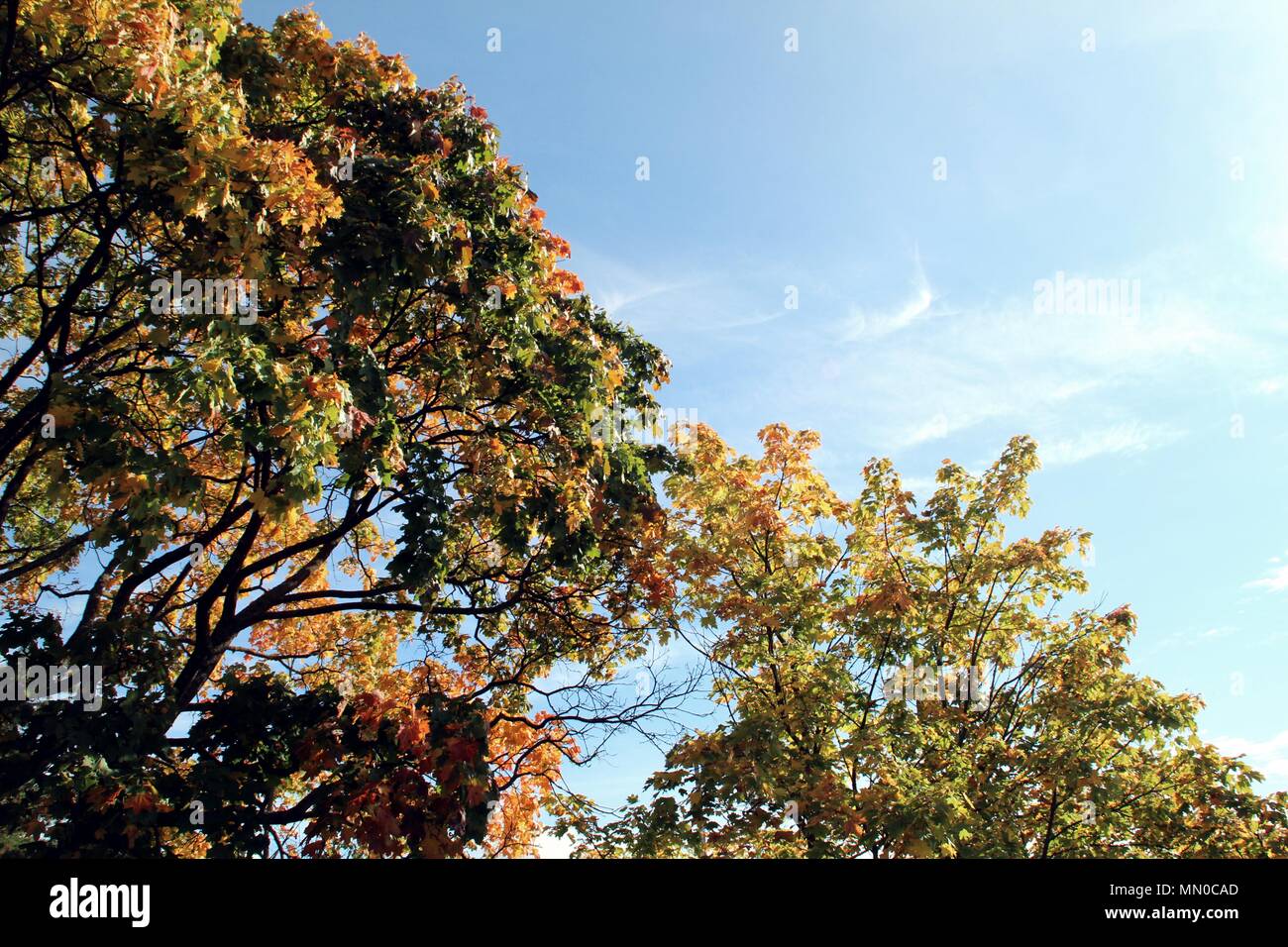 Circle of Life. Relaxing and calming picture that would fit perfectly ...