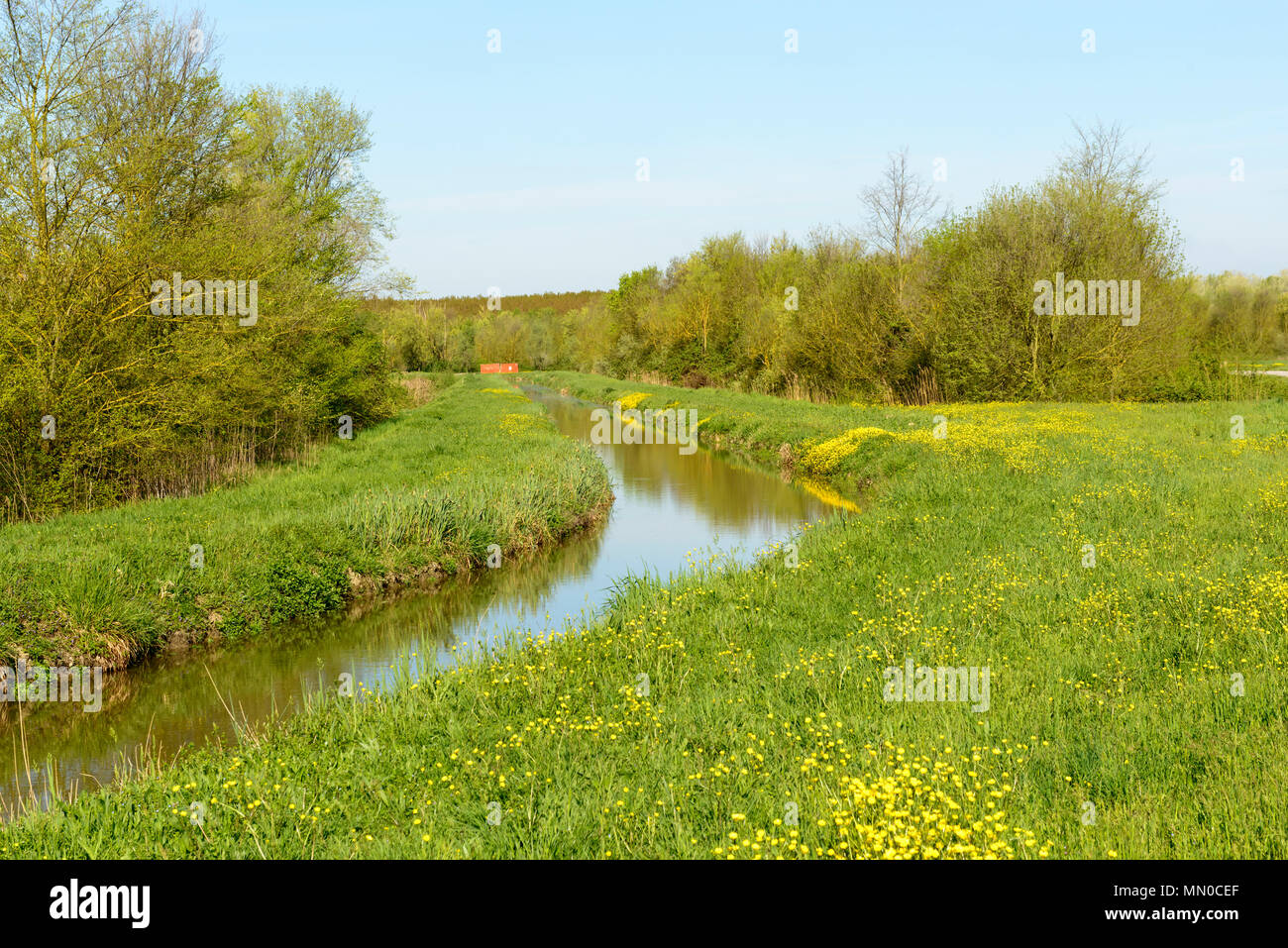 landscape of flat countryside with canal bending among blossoming ...