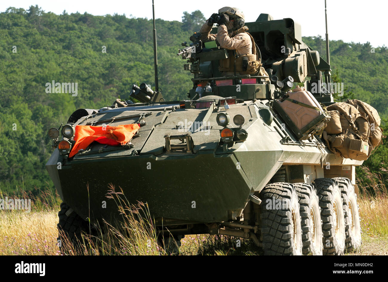 A vehicle commander with 3rd Platoon, Bravo Company, 4th Light Armor ...