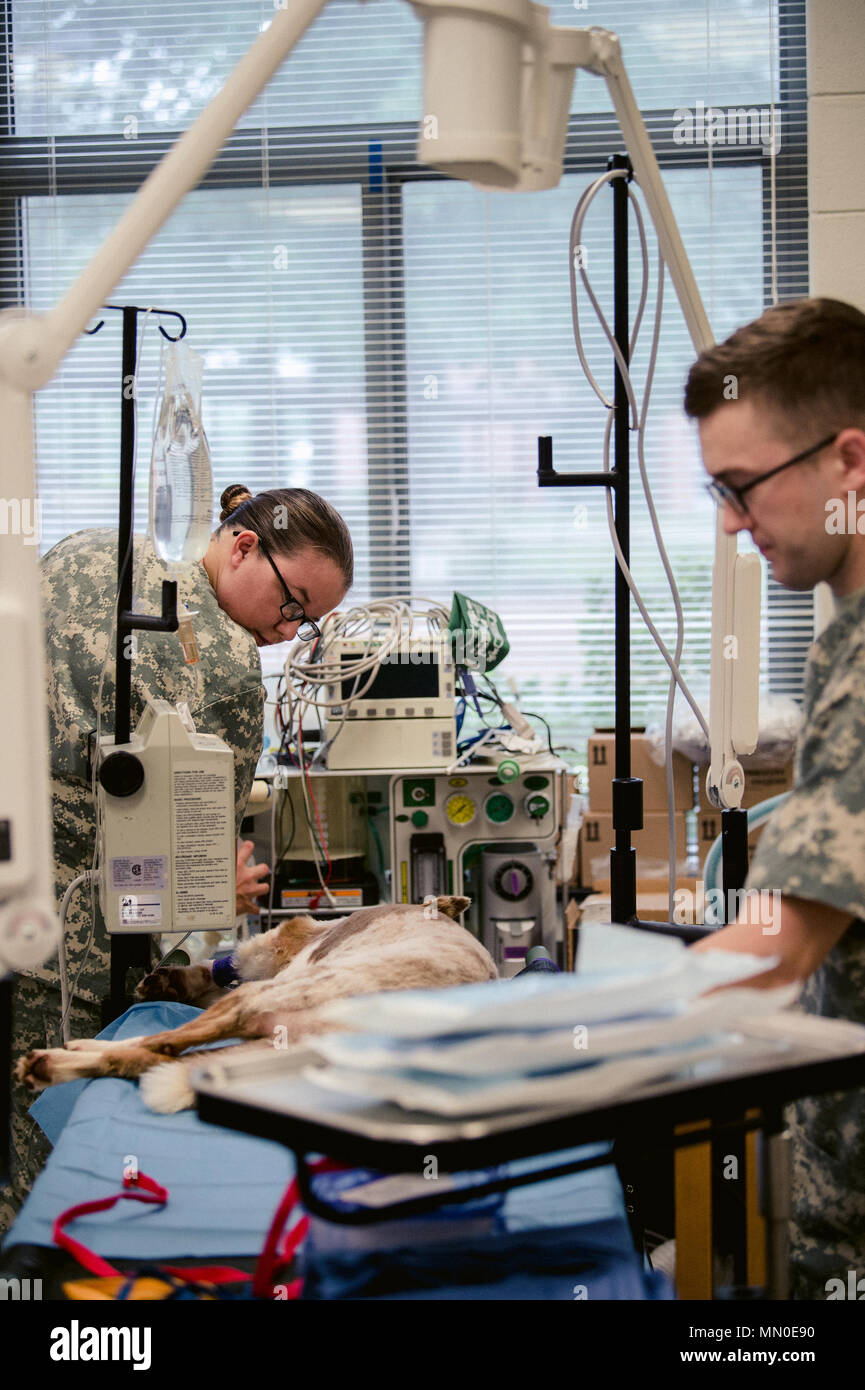 Irt table hi-res stock photography and images - Alamy