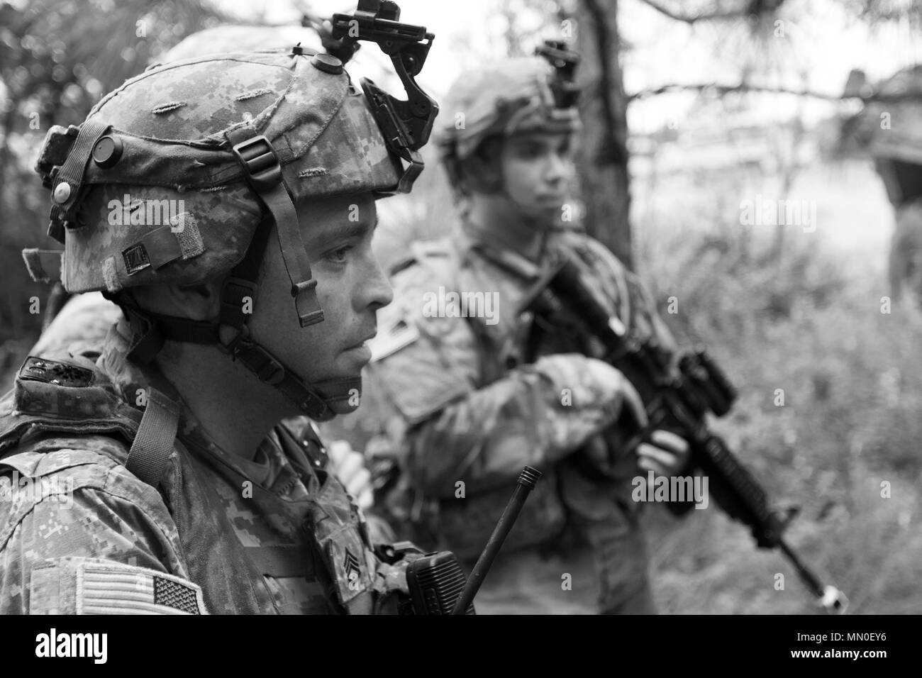 David lockwood hi-res stock photography and images - Alamy