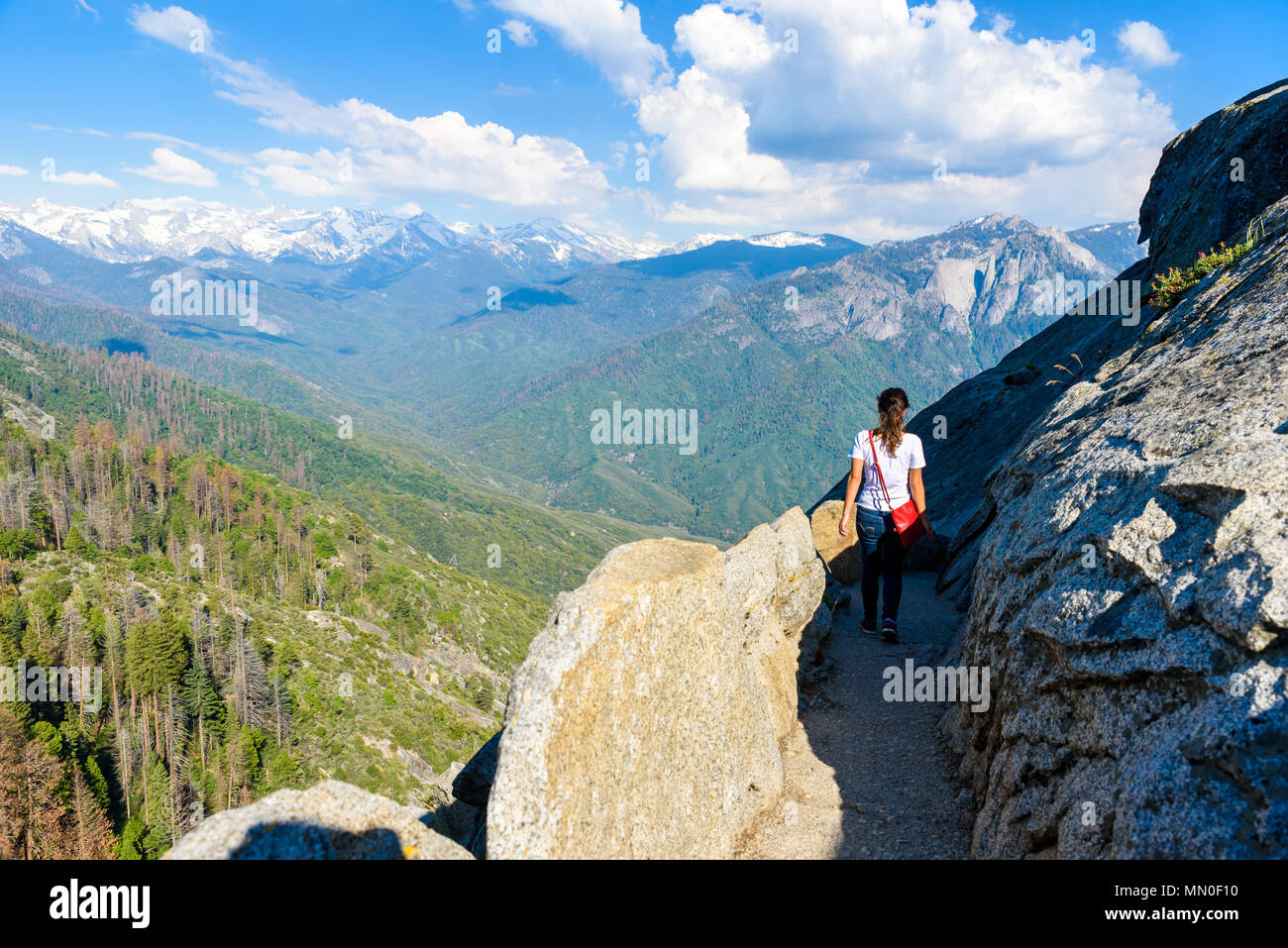 Dome rock in giant sequoia hi-res stock photography and images - Alamy