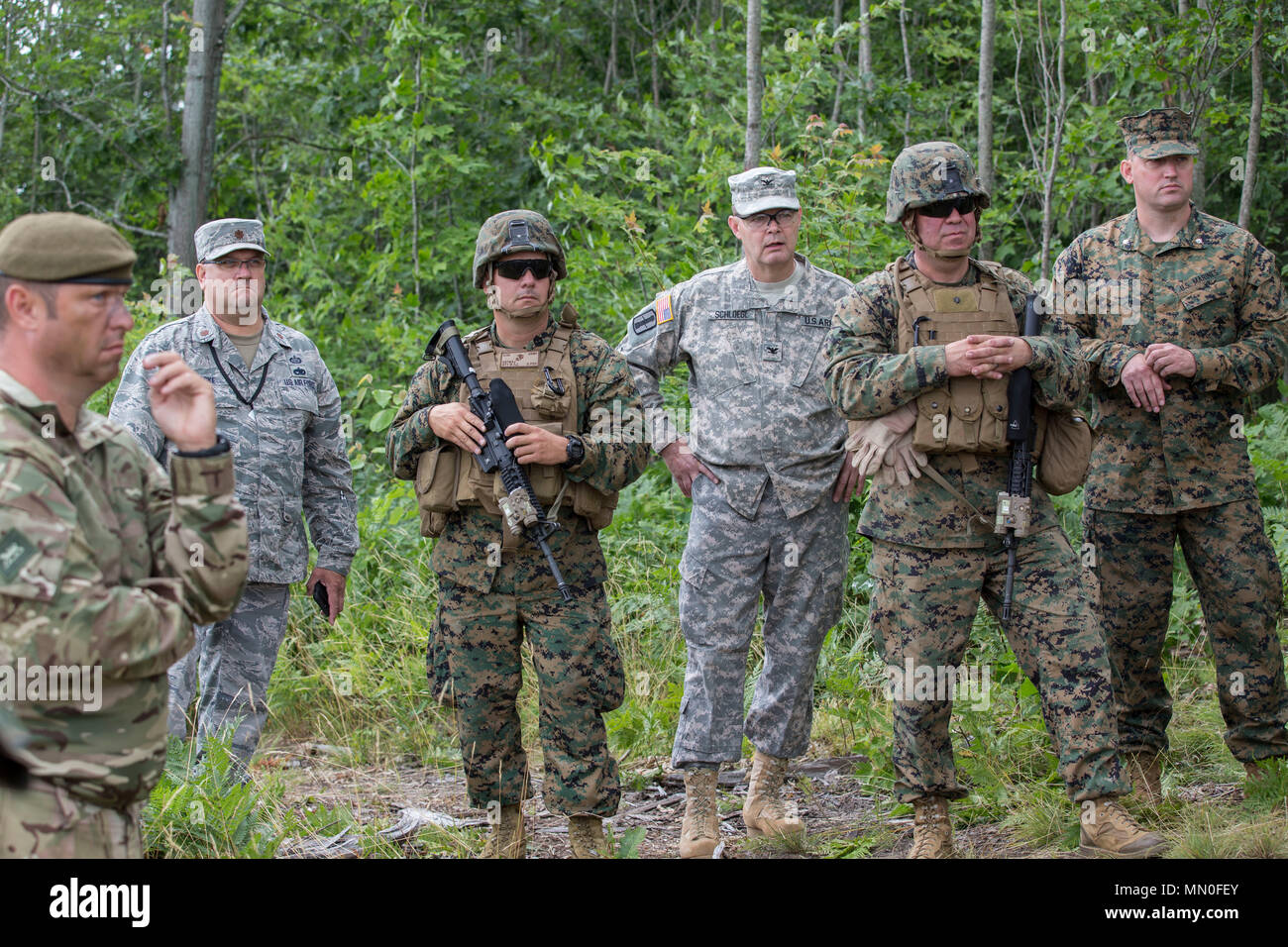 4th battalion the princess of wales royal regiment hi-res stock ...