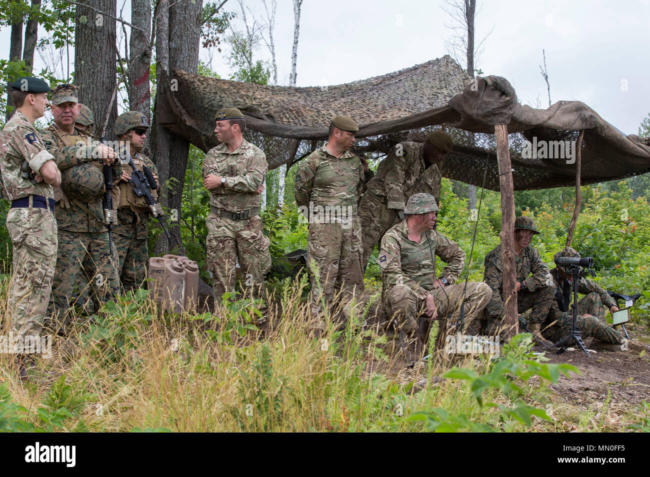 CAMP GRAYLING, Mich. – British soldiers with 3rd Battalion, Princess of ...