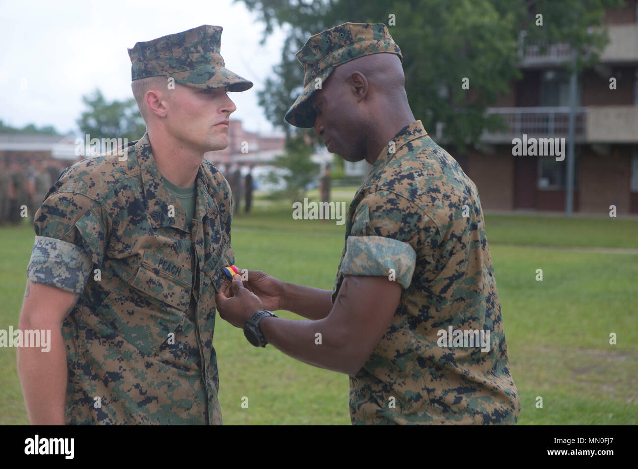 Sgt. Kevin Peach, an infantryman with 1st Battalion, 8th Marine ...