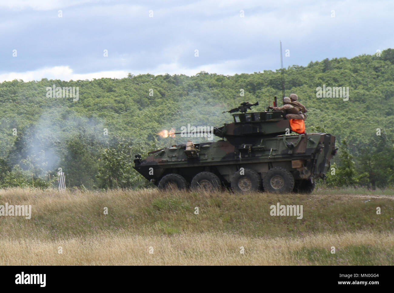 4th light armored reconnaissance battalion bravo company hi-res stock ...