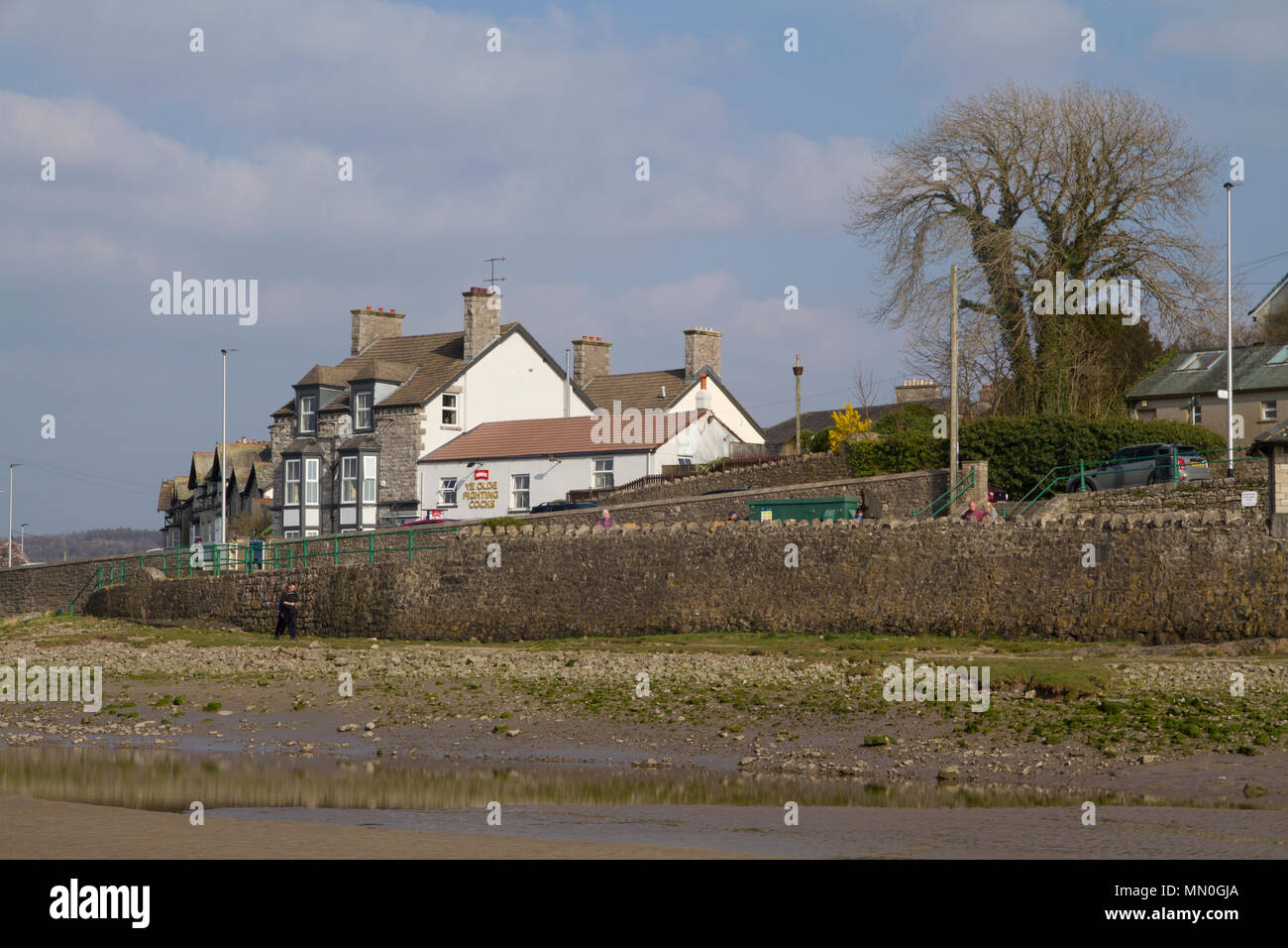 Ye Olde Fighting Cock pub at Arnside in Cumbria Stock Photo - Alamy