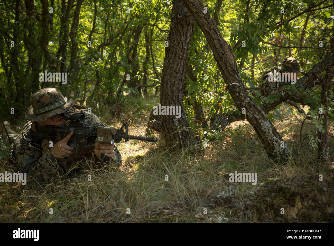 Hasty Ambush High Resolution Stock Photography and Images - Alamy