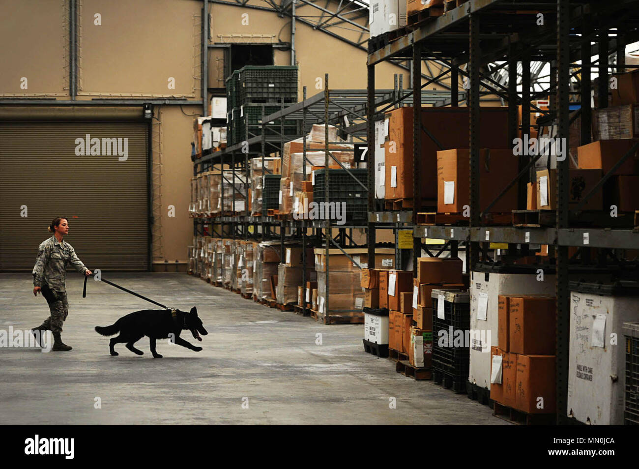 U.S. Air Force Staff Sgt. Kathryn McCarthy, 20th Security Forces ...
