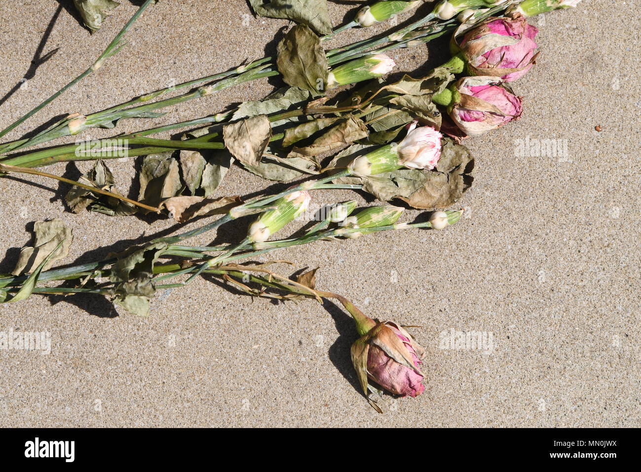 Bunch Of Withered Flowers High Resolution Stock Photography and Images ...