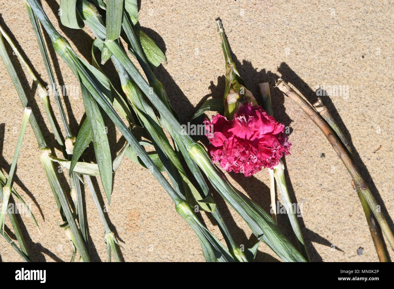Withered memorial flowers hi-res stock photography and images - Alamy