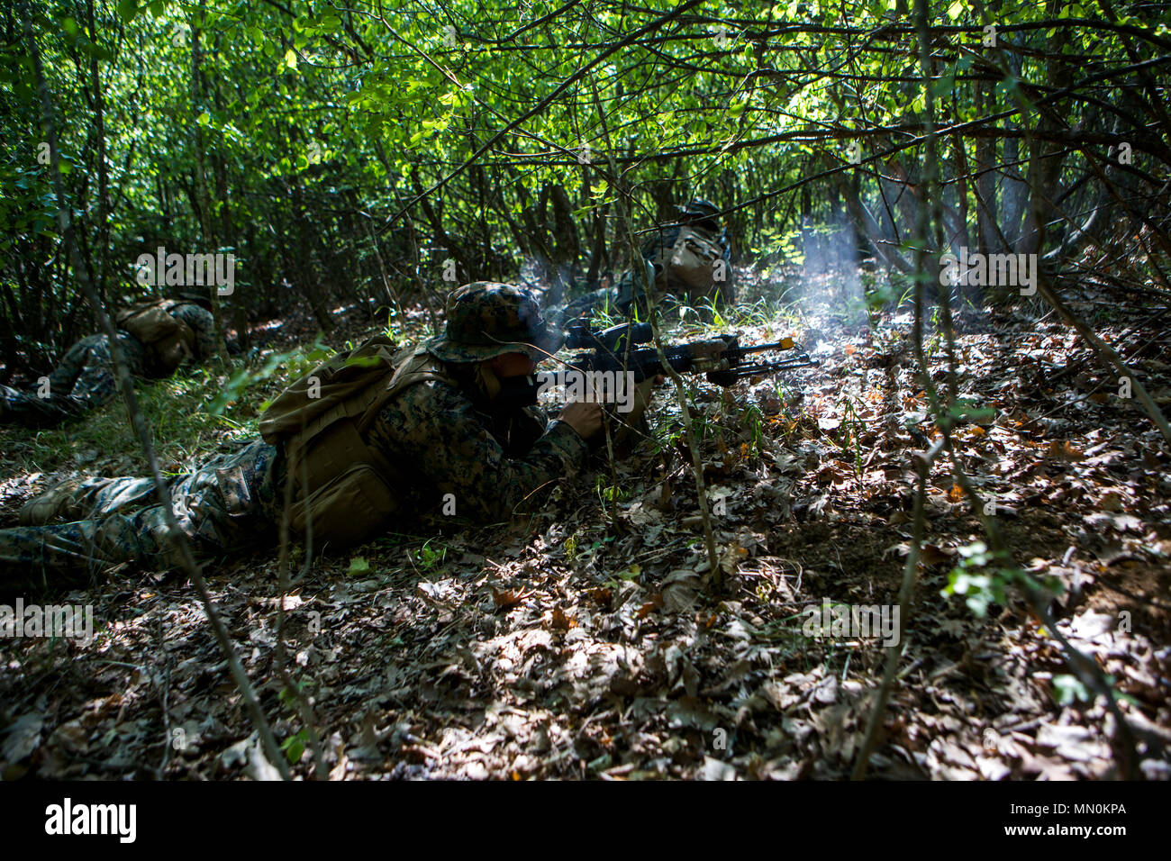A U.S. Marine with Black Sea Rotational Force 17.1 fires his M27 ...