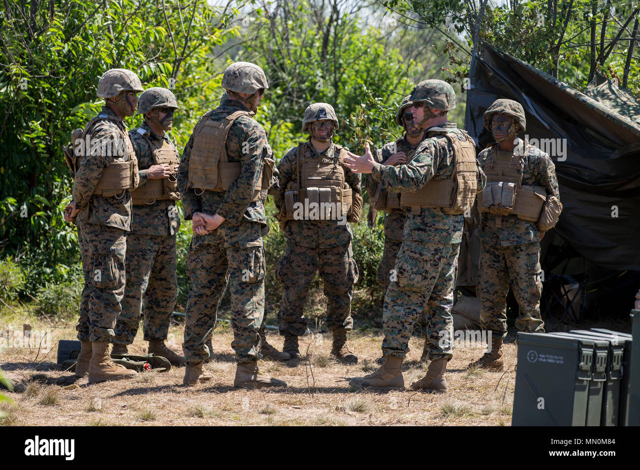 CAMP GRAYLING, Mich. – Maj. Gen. Burke W. Whitman, commanding general ...
