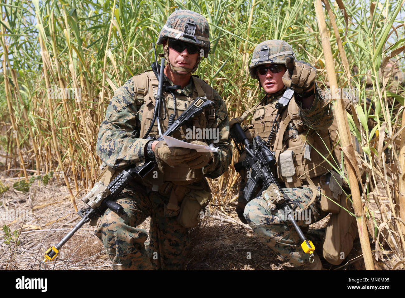 Mout ryan hi-res stock photography and images - Alamy