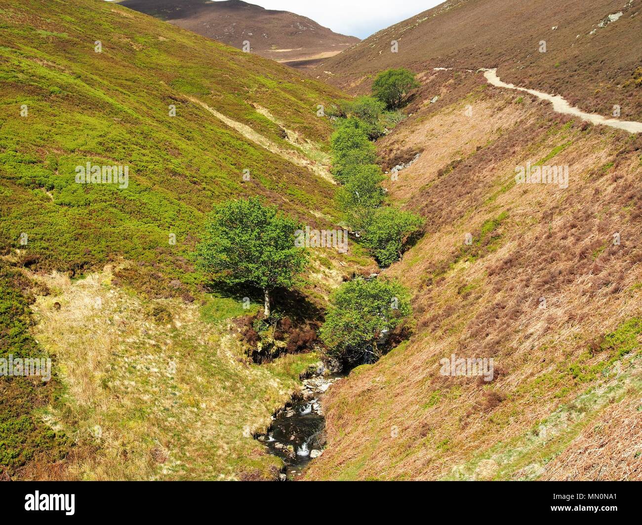 Stoneycroft gill hi-res stock photography and images - Alamy