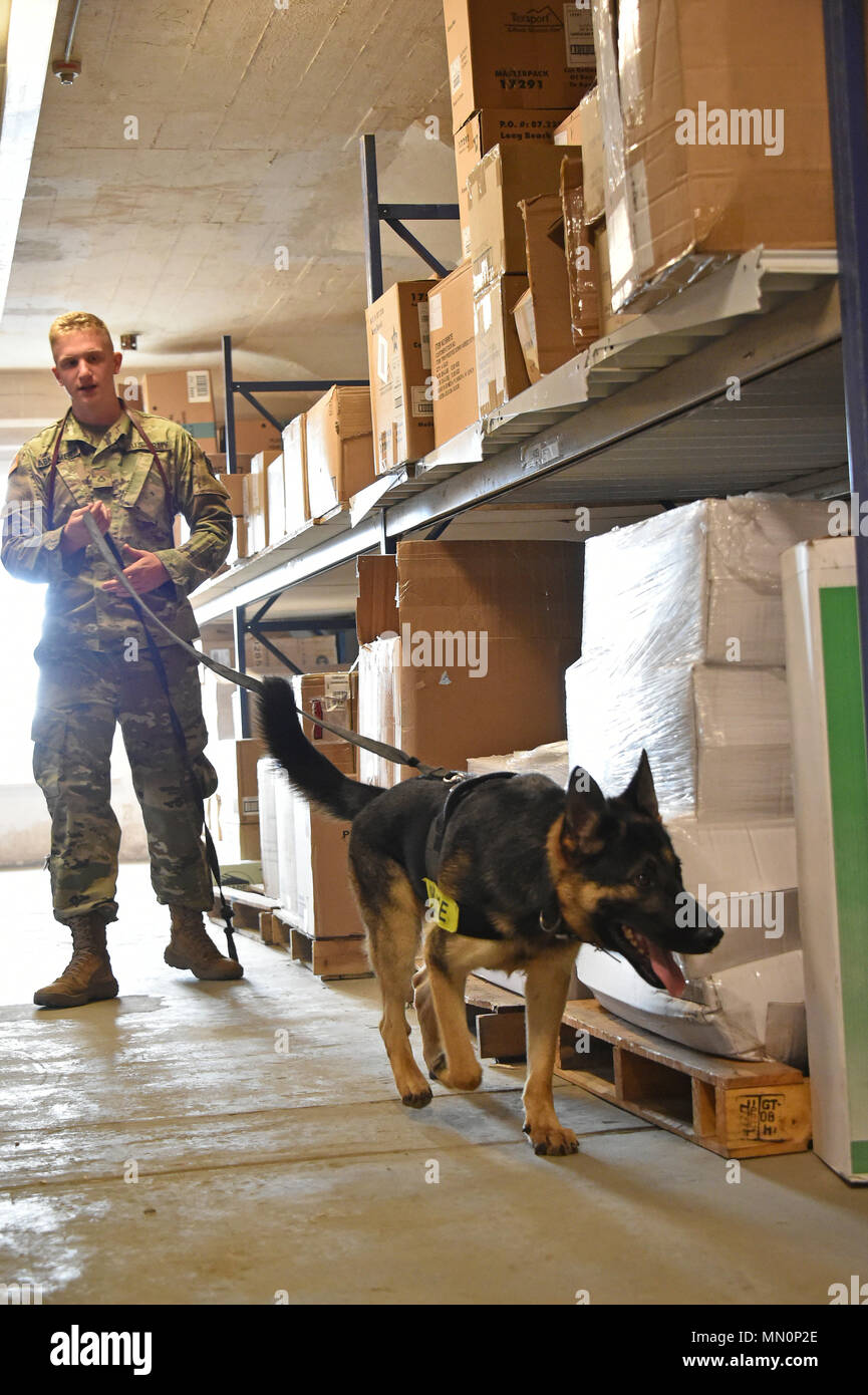 U.S. Army Pfc. Matthew Abkemeier, a military working dog handler with ...