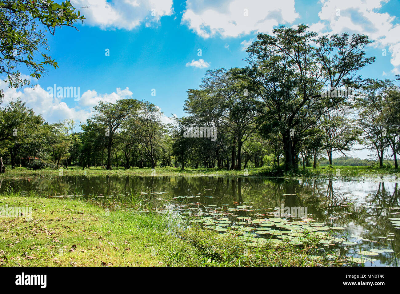 Habarana Lake, Habarana in the Anuradhapura District of Sri Lanka Stock ...