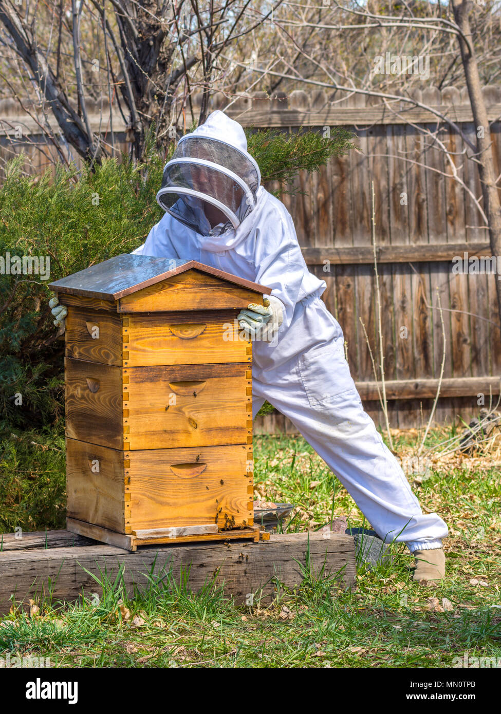 Beekeepers suit hi-res stock photography and images - Alamy