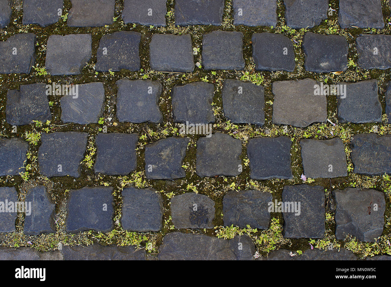 Old sidewalk paving stones background or texture Stock Photo - Alamy