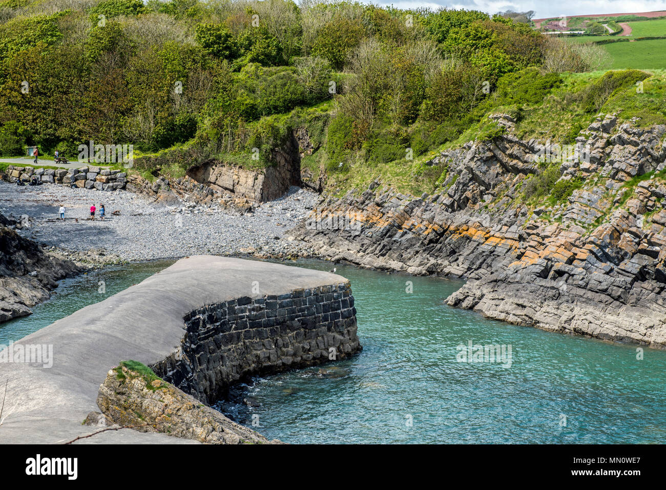 Stackpole Quay on the South Pembrokeshire Coast, West Wales Stock Photo ...